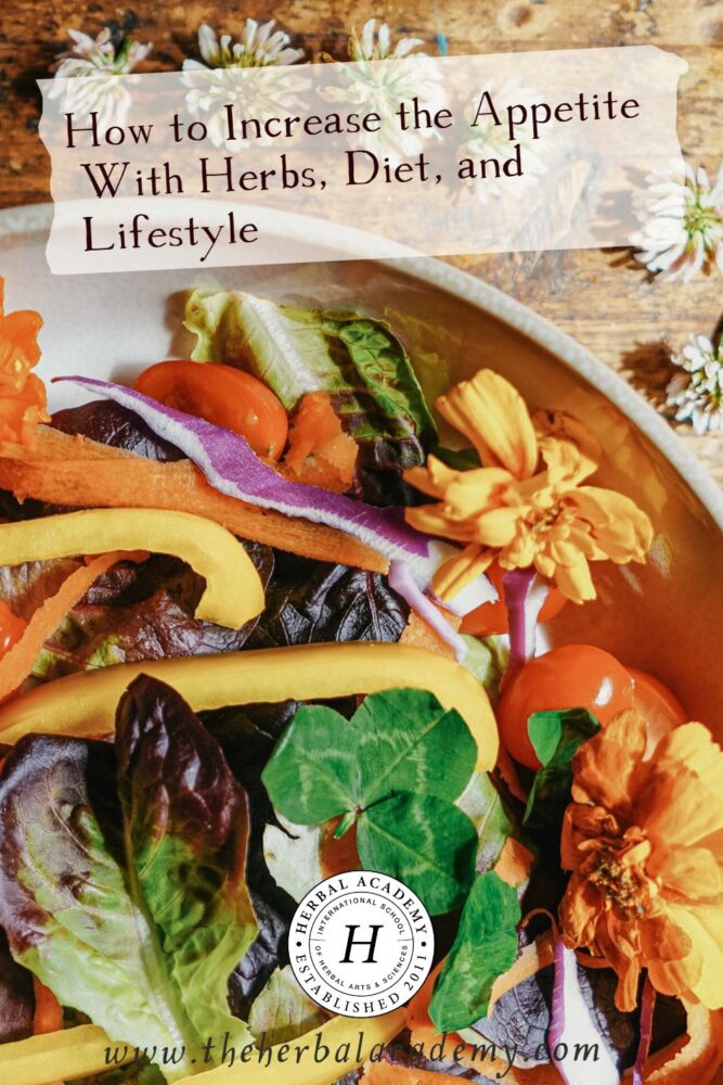 How to Increase Appetite With Herbs, Diet, and Lifestyle – Herbal Academy