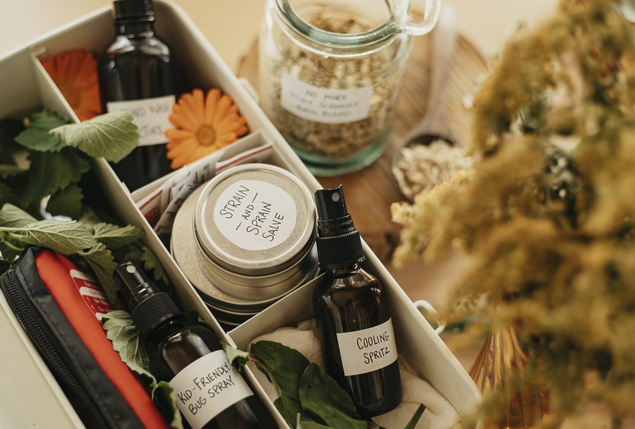 Holistic Herbal Care for Kids Course – Herbal Academy