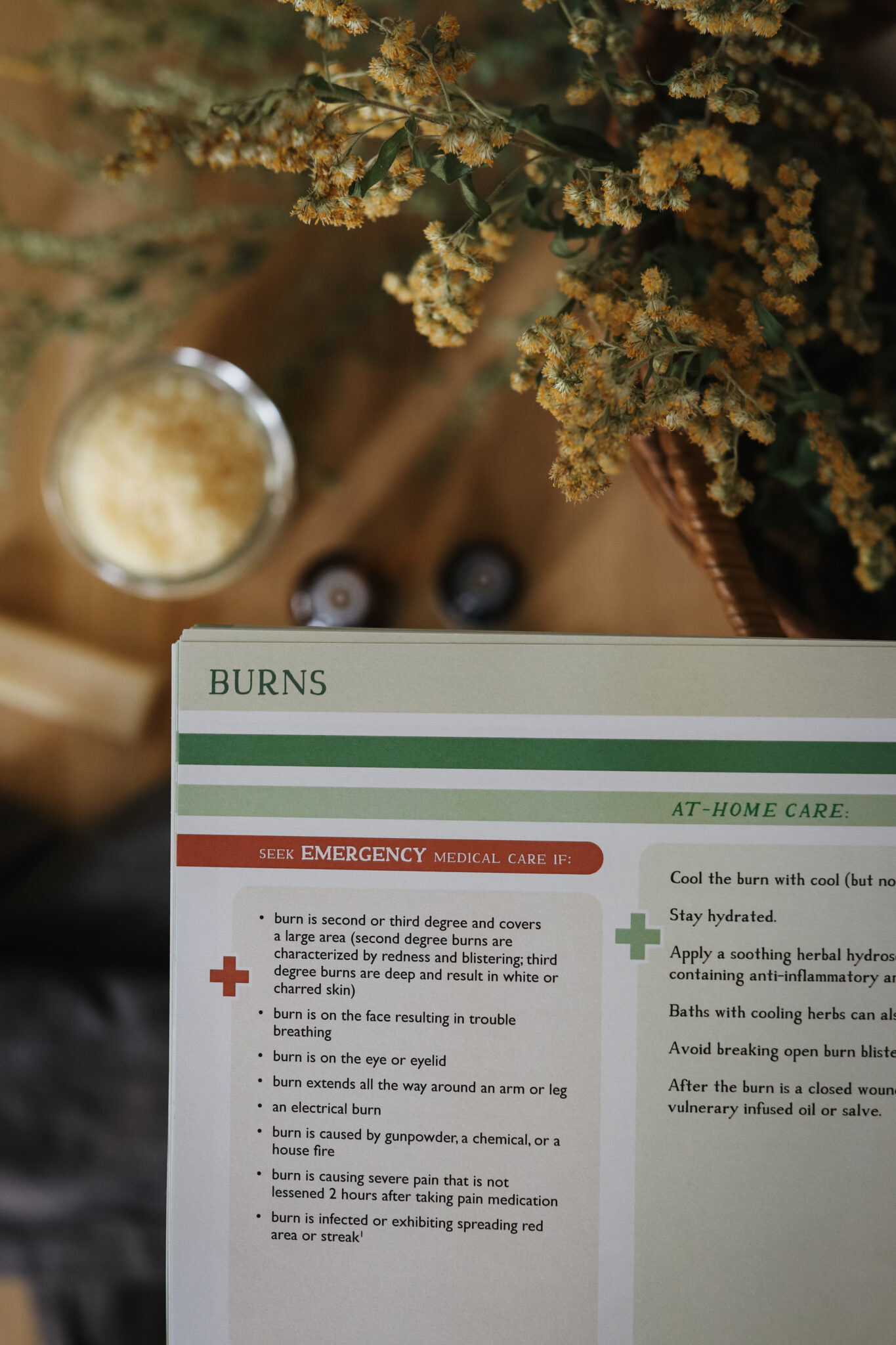 Herbal First Aid for Common Childhood Ailments Guidebook