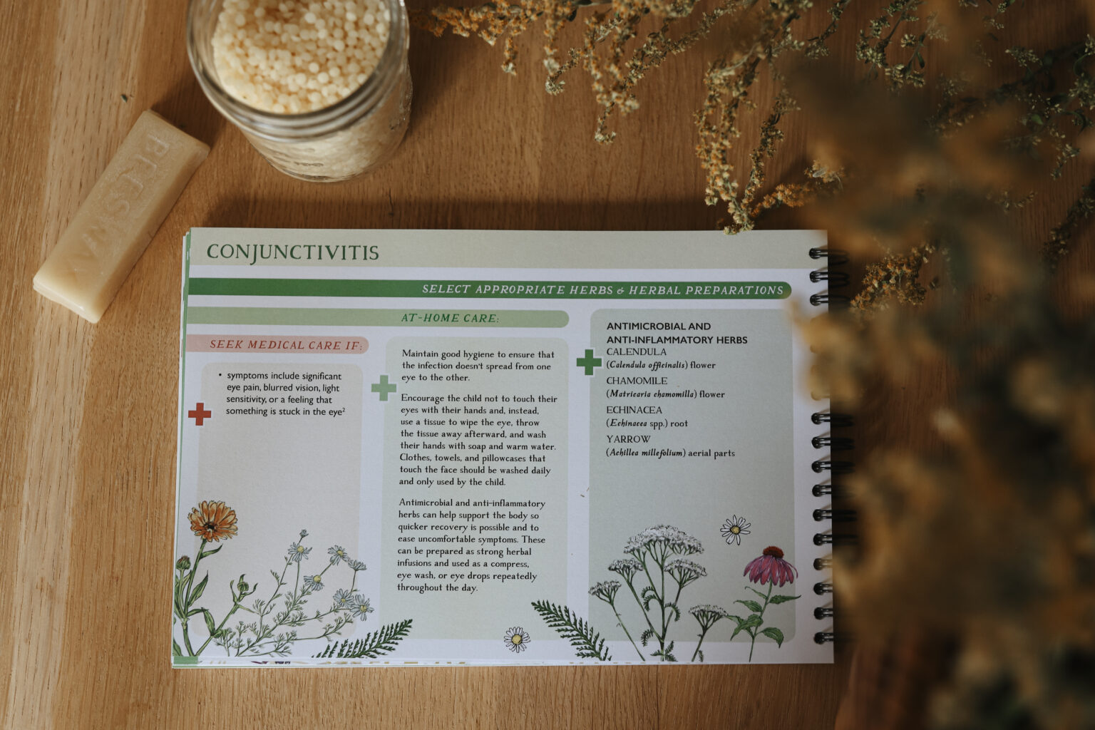 Holistic Herbal Care for Kids Course – Herbal Academy