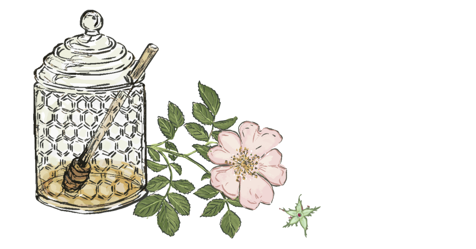 Botanical Teas Recipe Book by the Herbal Academy