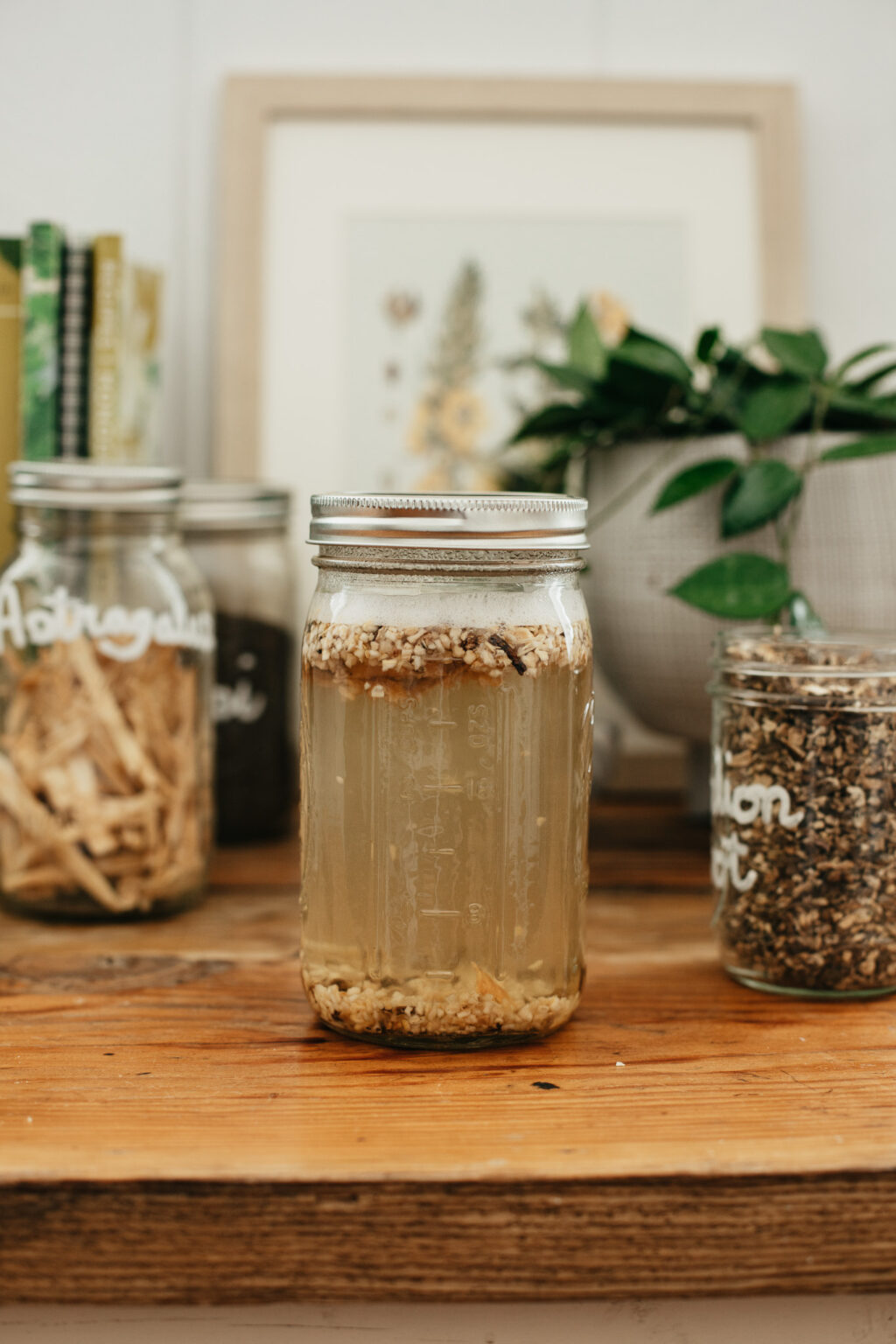 DIY Autumn Dandelion Root Tea Tonic – Herbal Academy