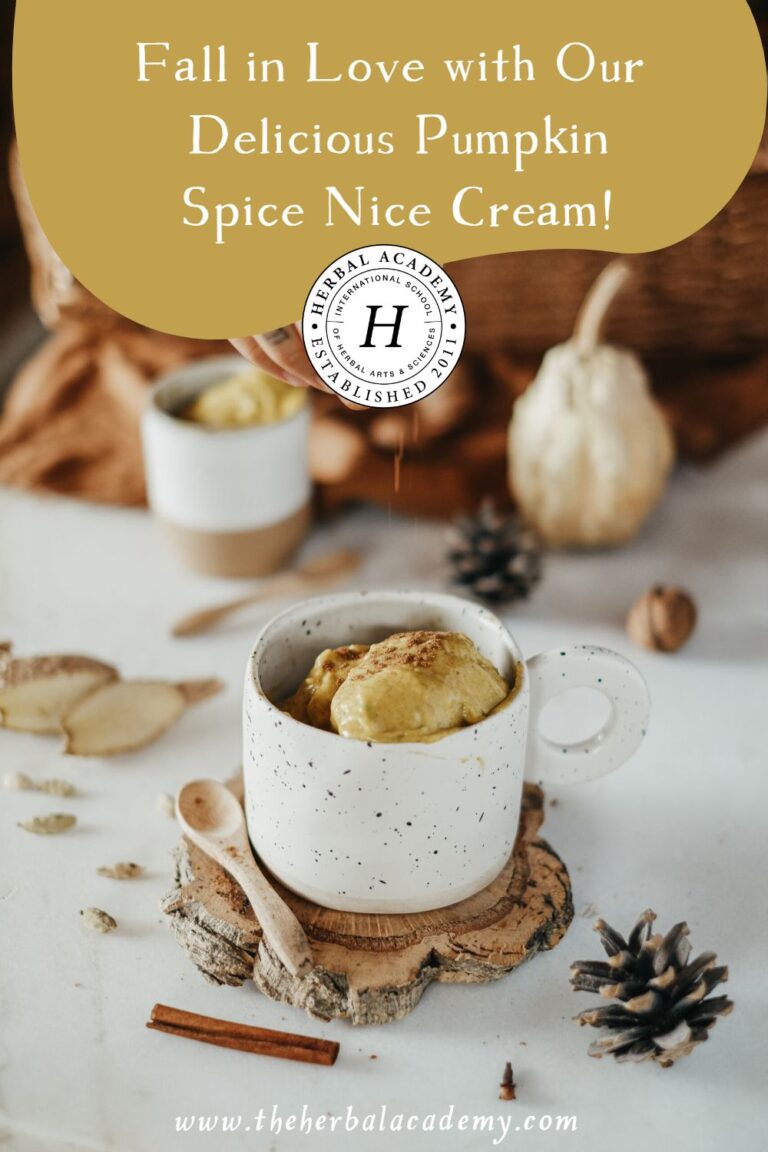 Fall in Love with Our Delicious Pumpkin Spice Nice Cream! – Herbal Academy