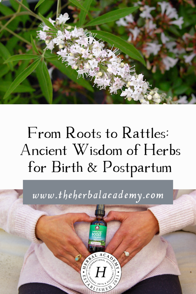 From Roots to Rattles: Ancient Wisdom of Herbs for Birth & Postpartum ...
