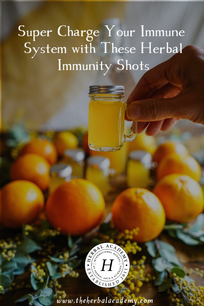 Super Charge Your Immune System with These Herbal Immunity Shots ...