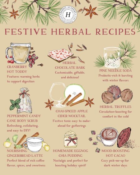 Discover 9 Festive Recipes for a Magical Herbal Holiday! – Herbal Academy