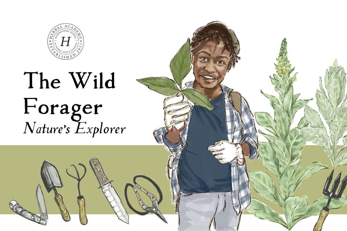 Herbal Personas The Wild Forager – Herbal Academy