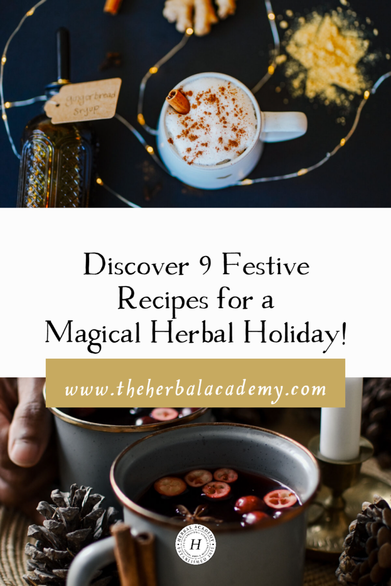 Discover 9 Festive Recipes for a Magical Herbal Holiday! – Herbal Academy