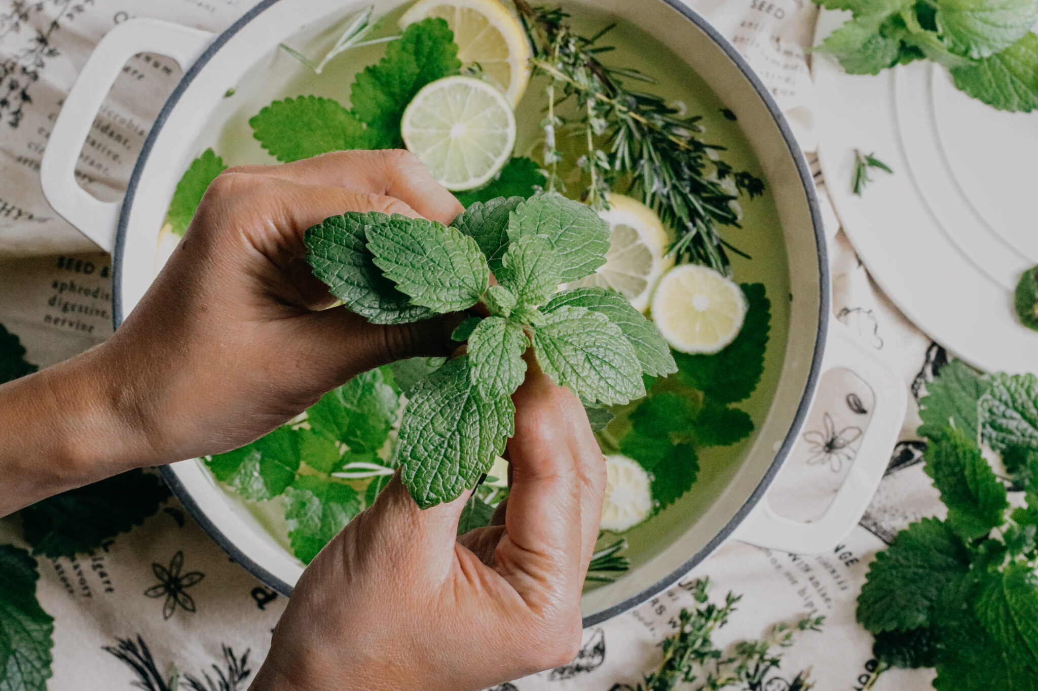 Freshen Your Home With This Green Clean Stovetop Potpourri Recipe ...