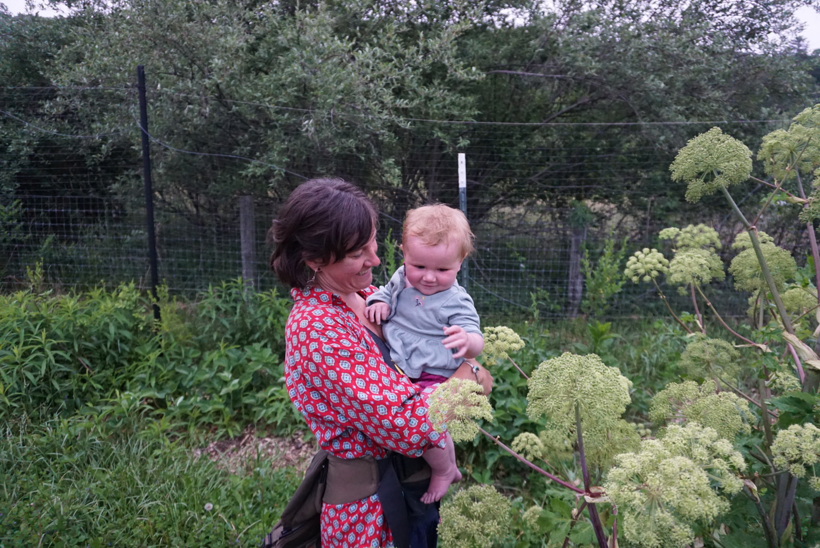 How Meaghan Moore Fine-Tuned Her Herbal Business and Became a Full-Time ...