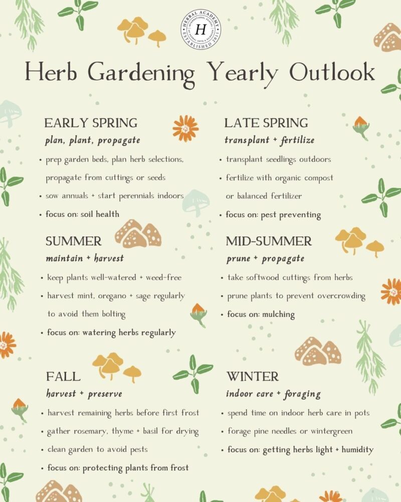 Herb Gardening Yearly Outlook: Map Out Your Annual Garden Plan – Herbal ...