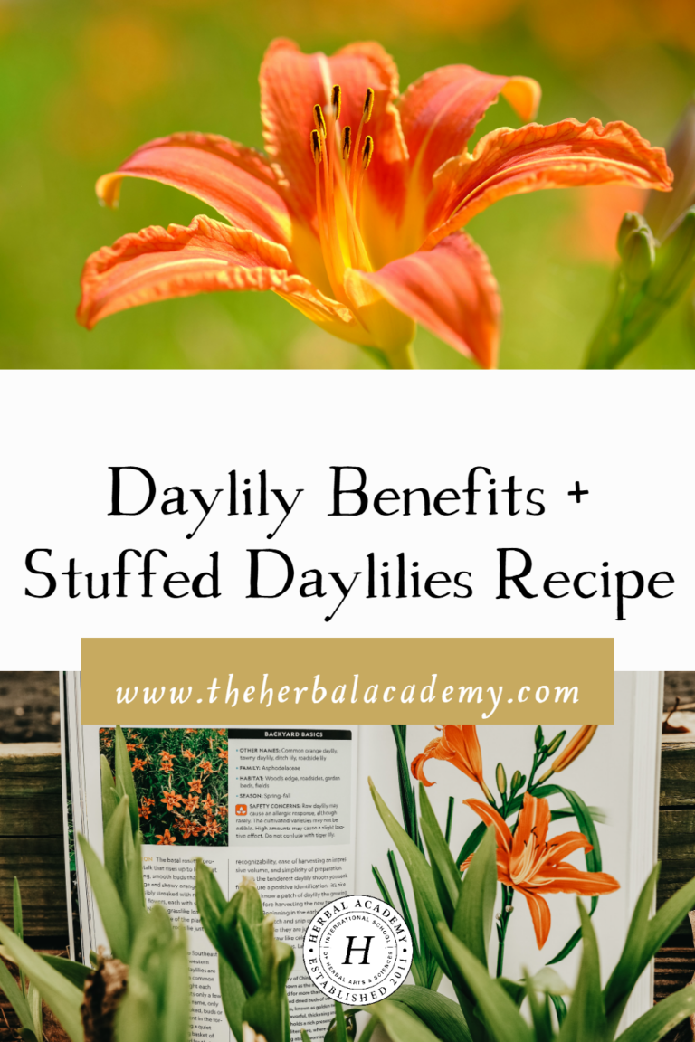 Daylily Benefits + Recipe: A Sneak Peek from the ‘National Geographic ...