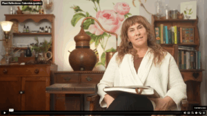 Experience Nature's Gentle Touch With DIY Calendula Lotion – Herbal Academy