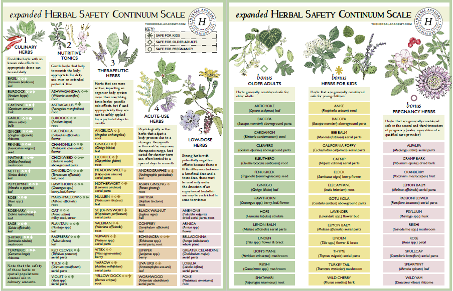 Expanded Herbal Safety Continuum Scale – Herbal Academy