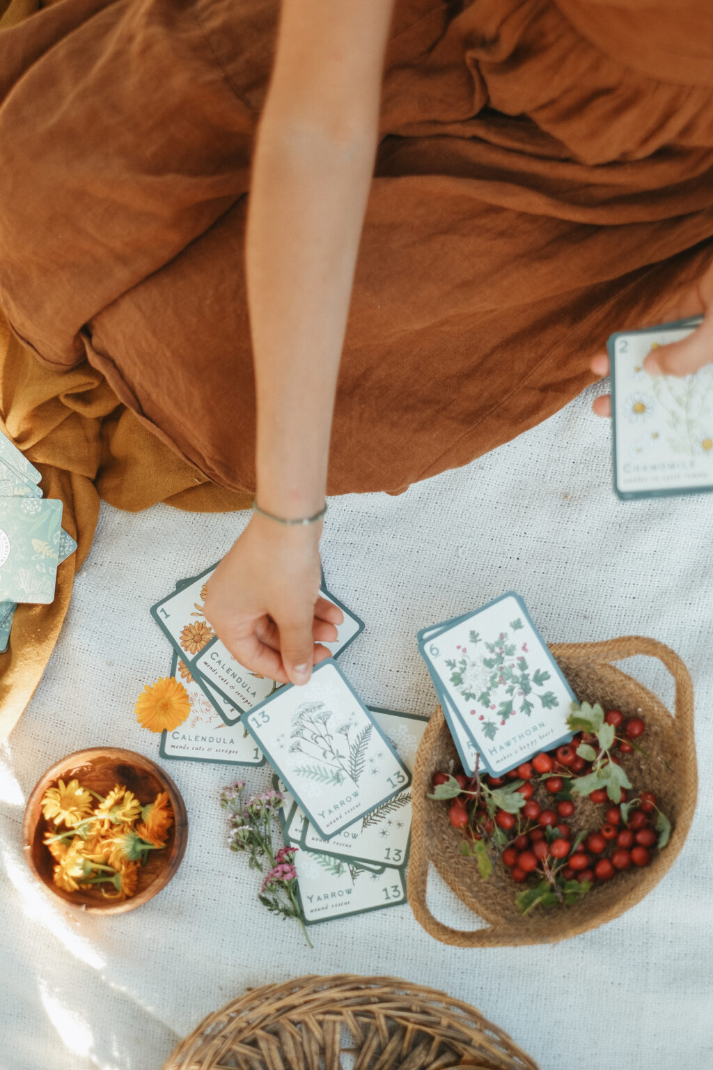 Go Forage! Kids Card Game Deck – Herbal Academy