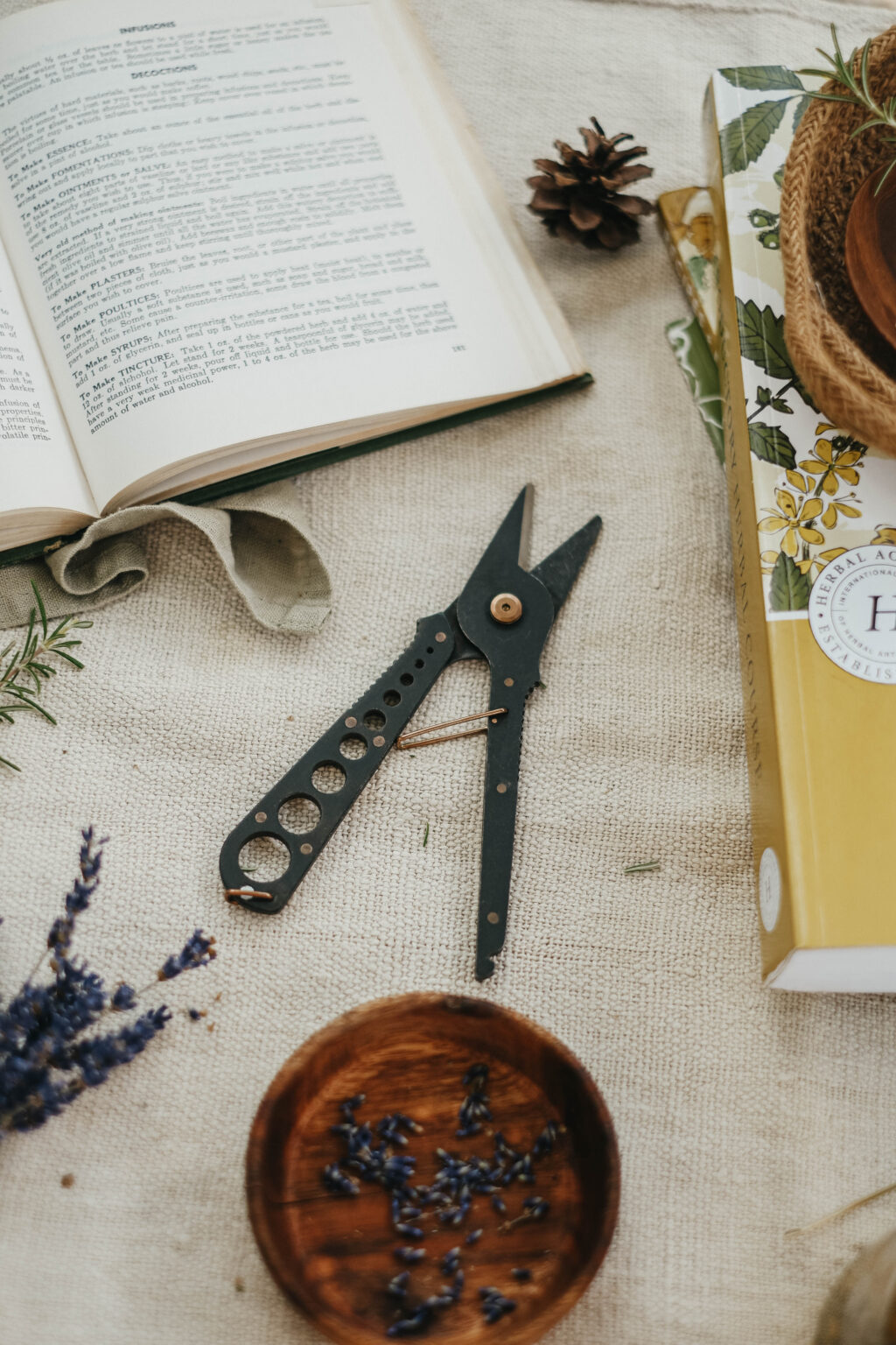 Herbal Tea Blending Wheel – Herbal Academy