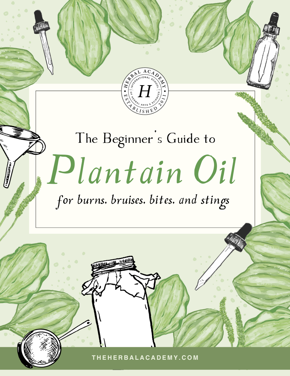 Download Free Plantain Oil Guide – Herbal Academy
