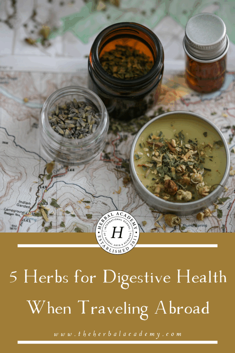 5 Herbs for Digestive Health When Traveling Abroad – Herbal Academy