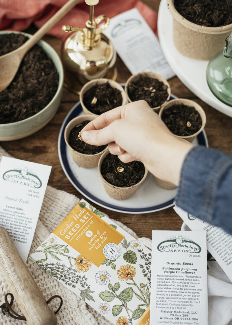 Garden Herbs Seed Set – Herbal Academy
