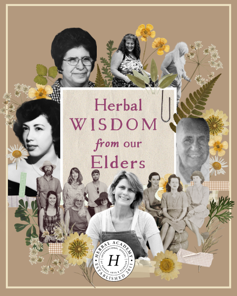 Herbal Wisdom Ebook – Herbal Academy